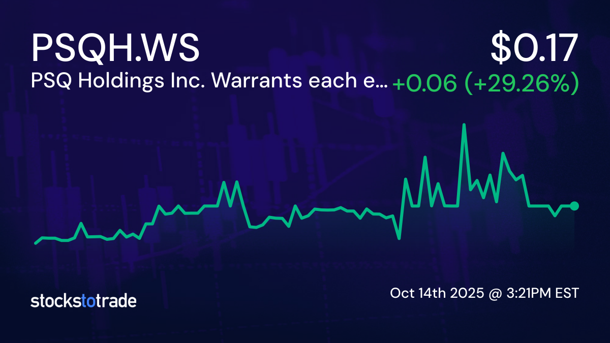 PSQ Holdings Inc. Warrants each exercisable for one share of Class A ...